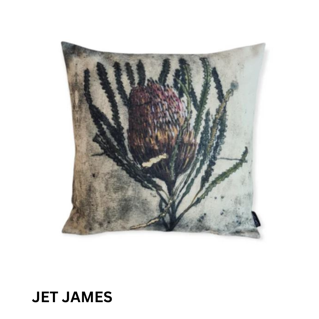 INTRODUCING JET JAMES – Nationwide Curating