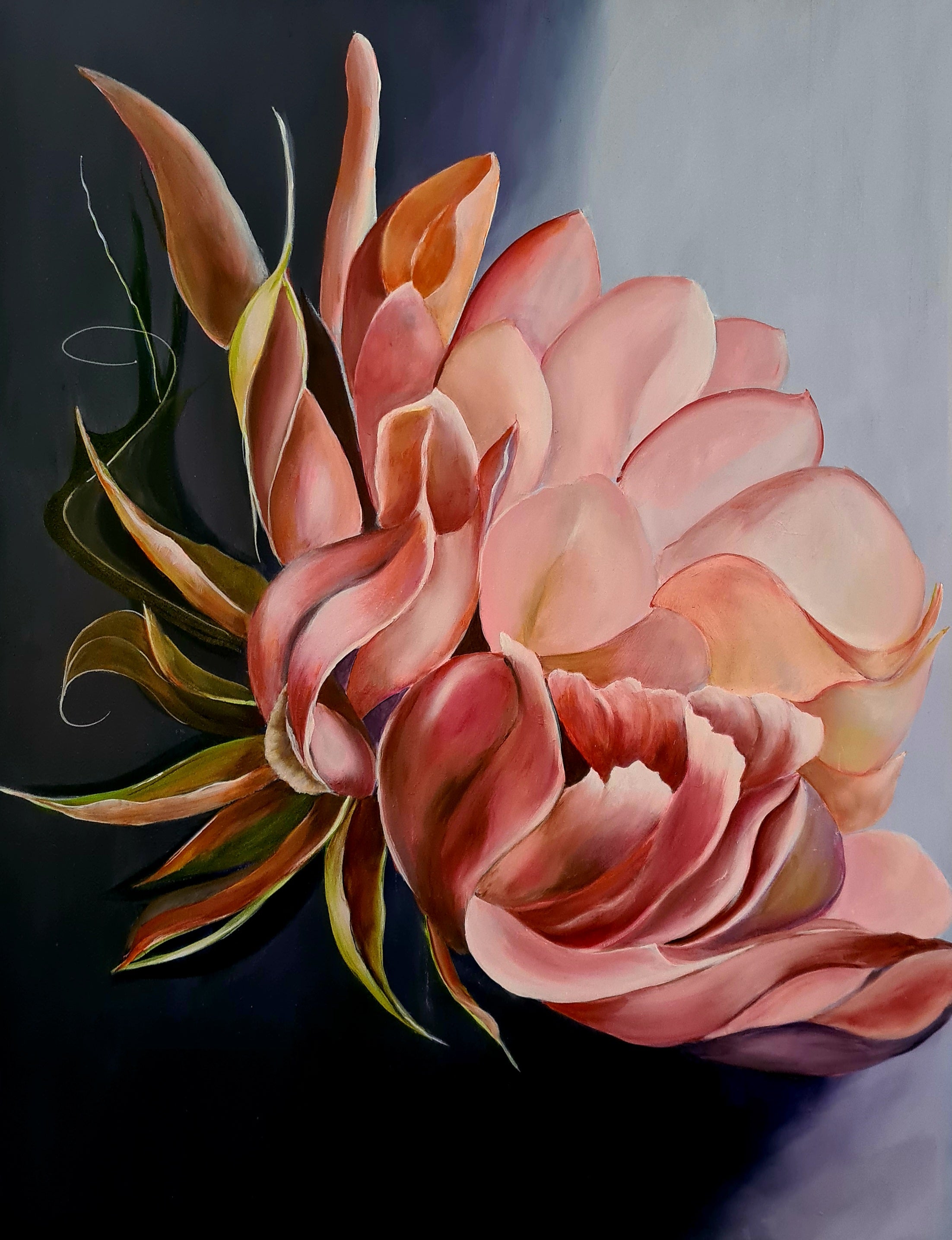 Window Changeover! – Nationwide Curating