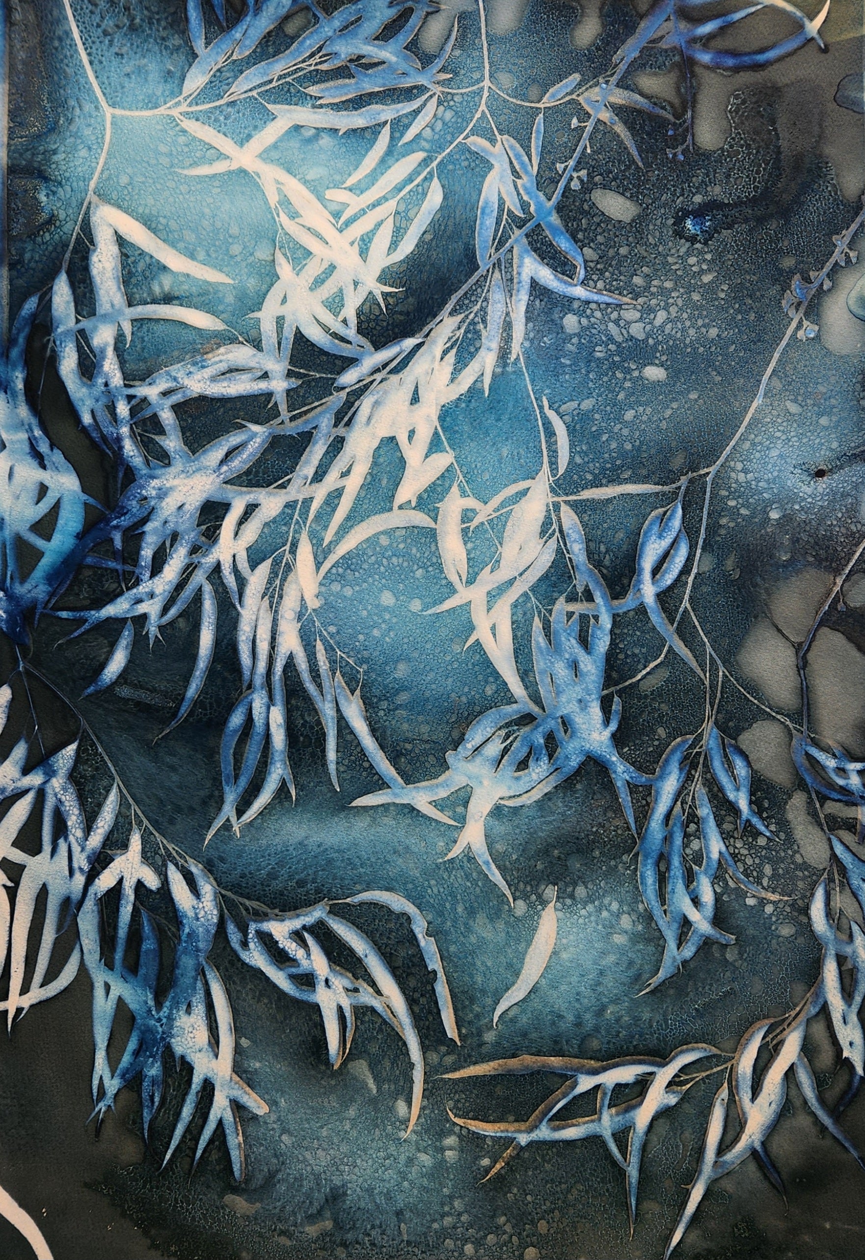 INTRODUCING LISA SHEPHERD – Nationwide Curating