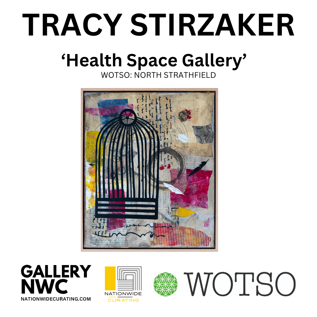 TRACY STIRZAKER EXHIBITION AT WOTSO: NORTH STRATHFIELD - FINAL DAYS ...