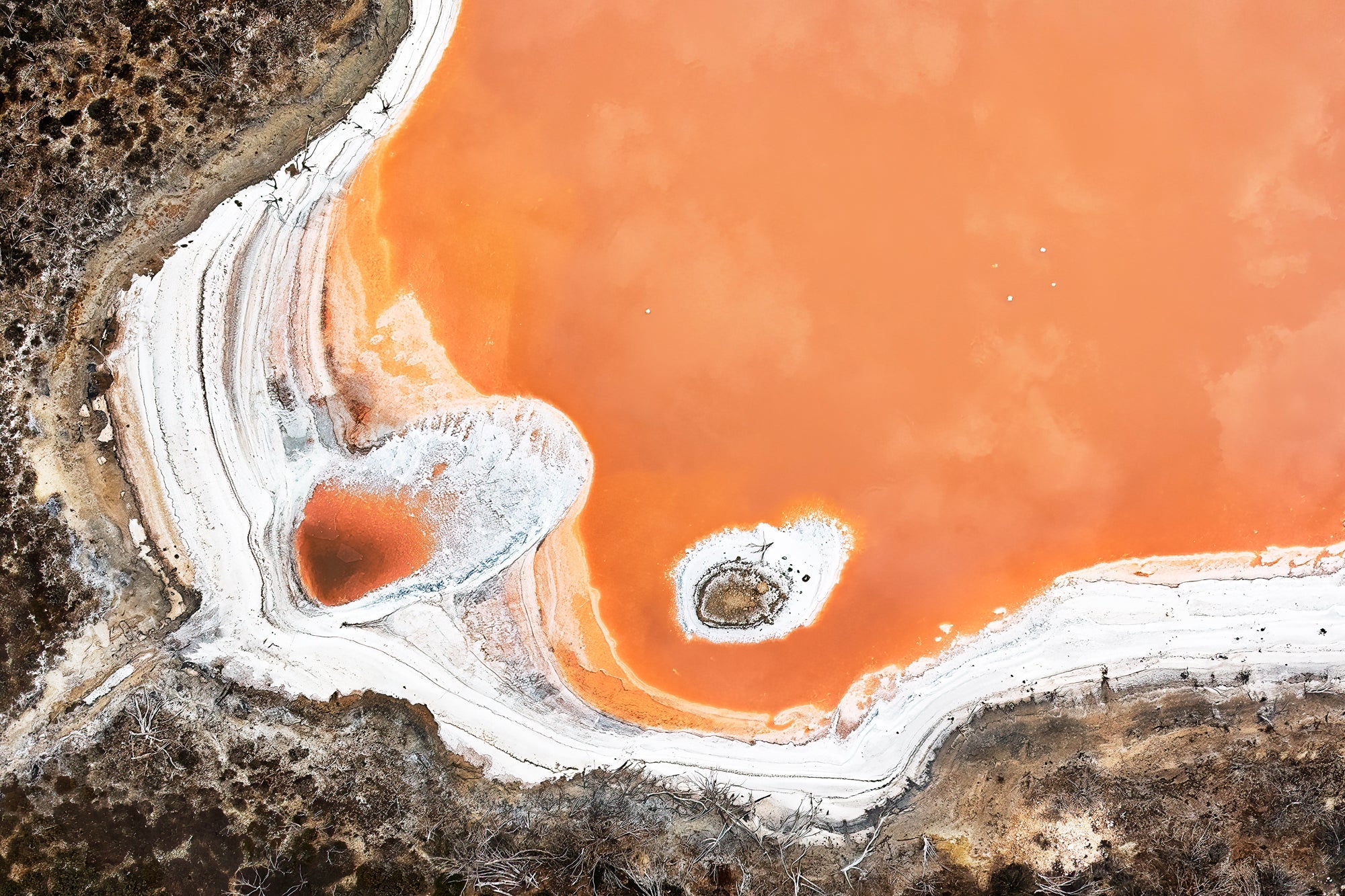 Salt & Silt CONTINUES! – Nationwide Curating