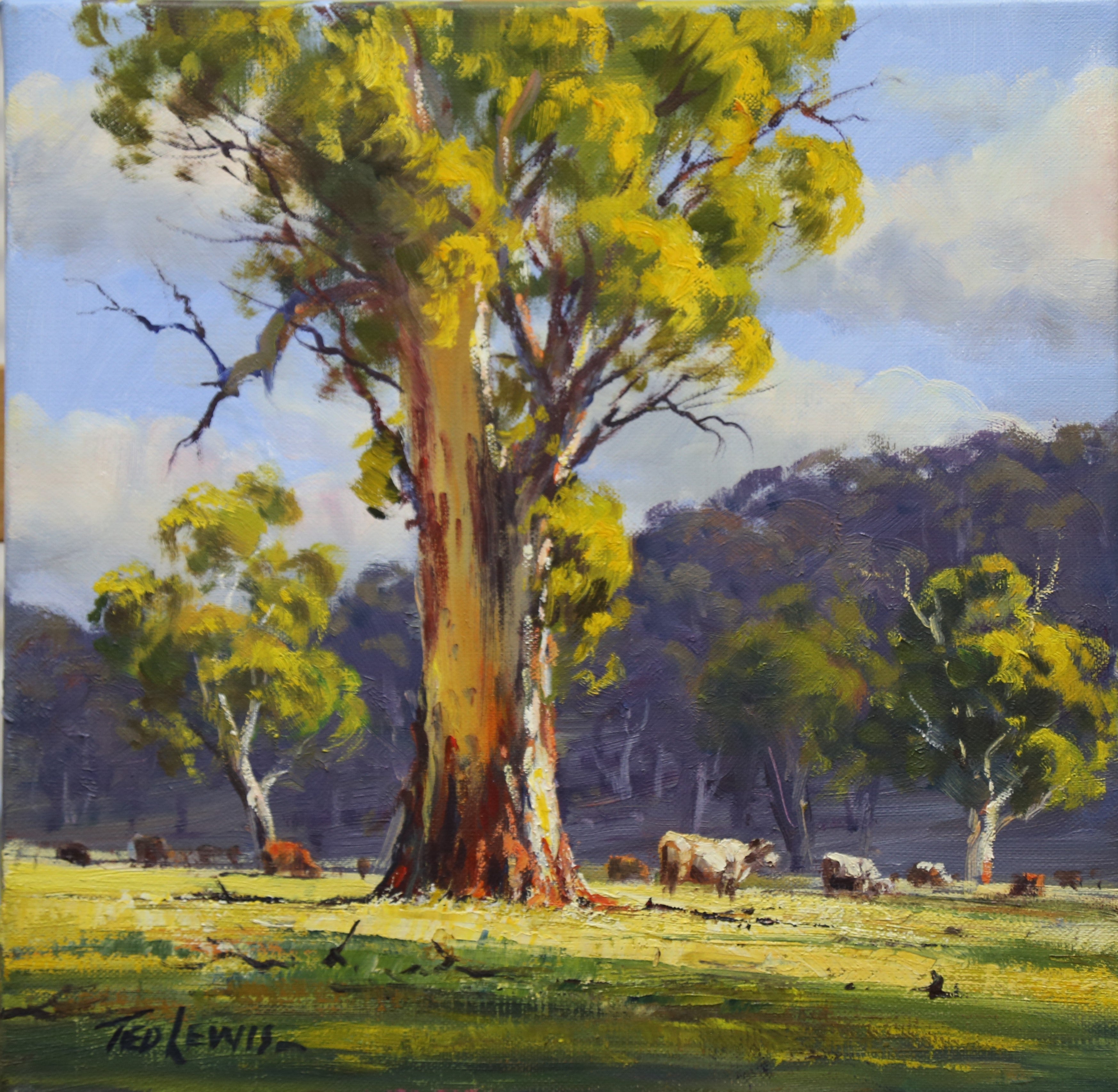 Afternoon Glow – Nationwide Curating