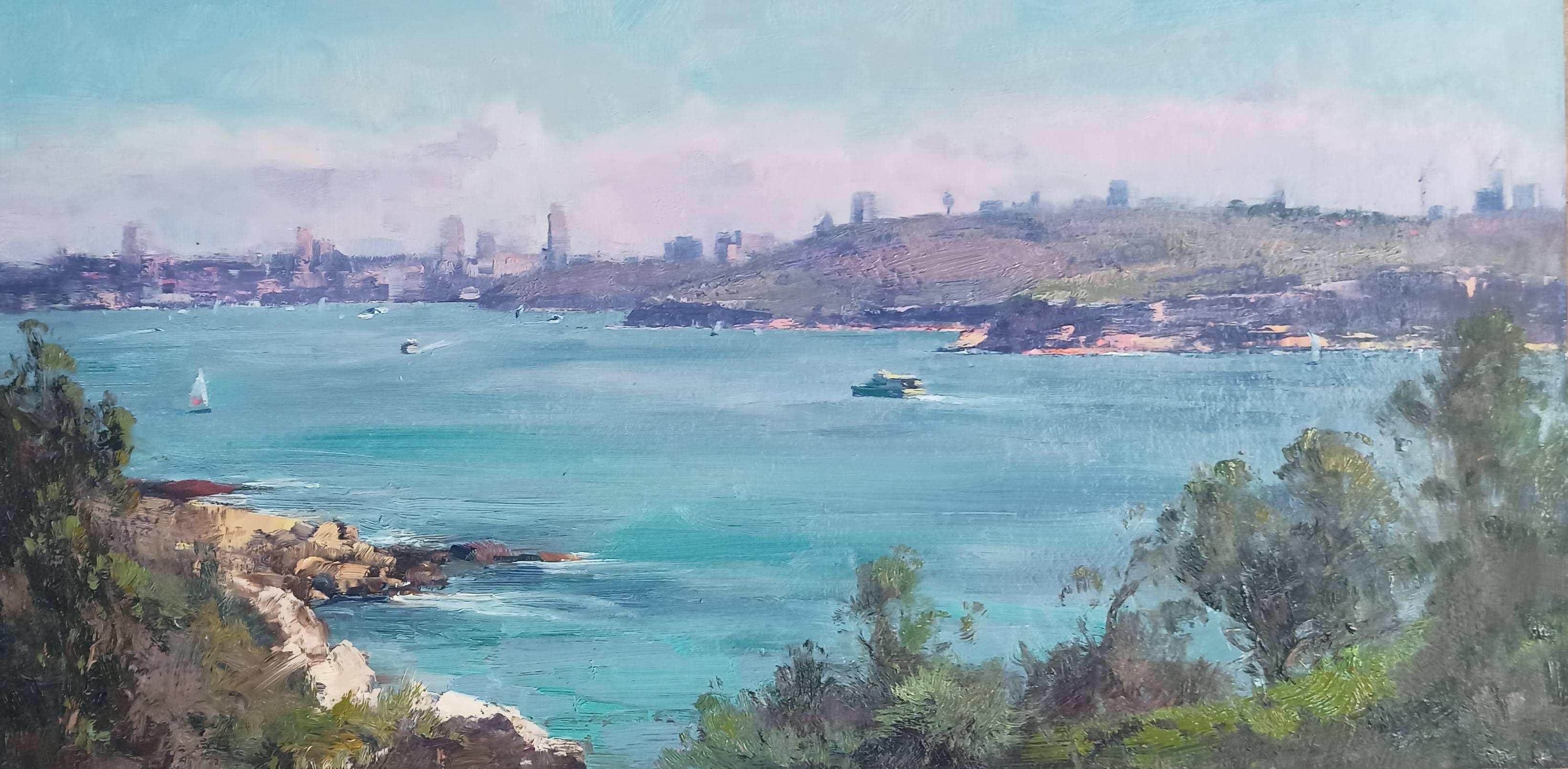 Harbour View from Quarantine Station – Nationwide Curating